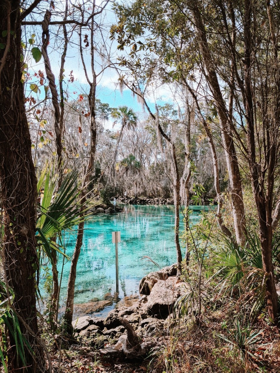 Amazing Things to Do in Crystal River, Florida - Gallivanting Laura